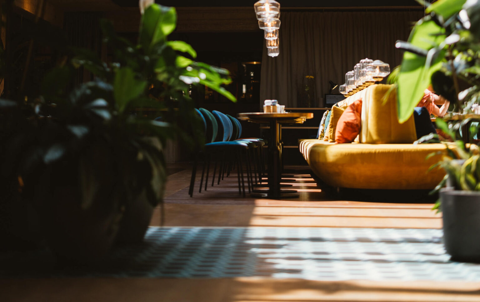 &flora in Vienna's 7th district: A trip around the world for your palate